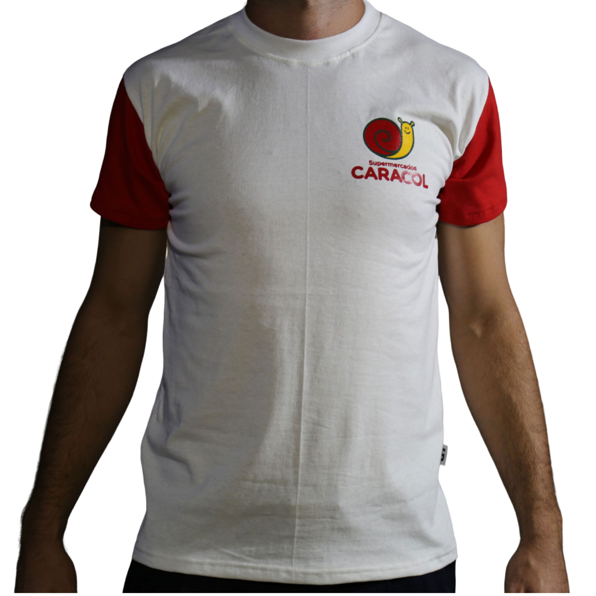 R13 – Remera algodón mangas cortas con mangas combinadas – Ralebs